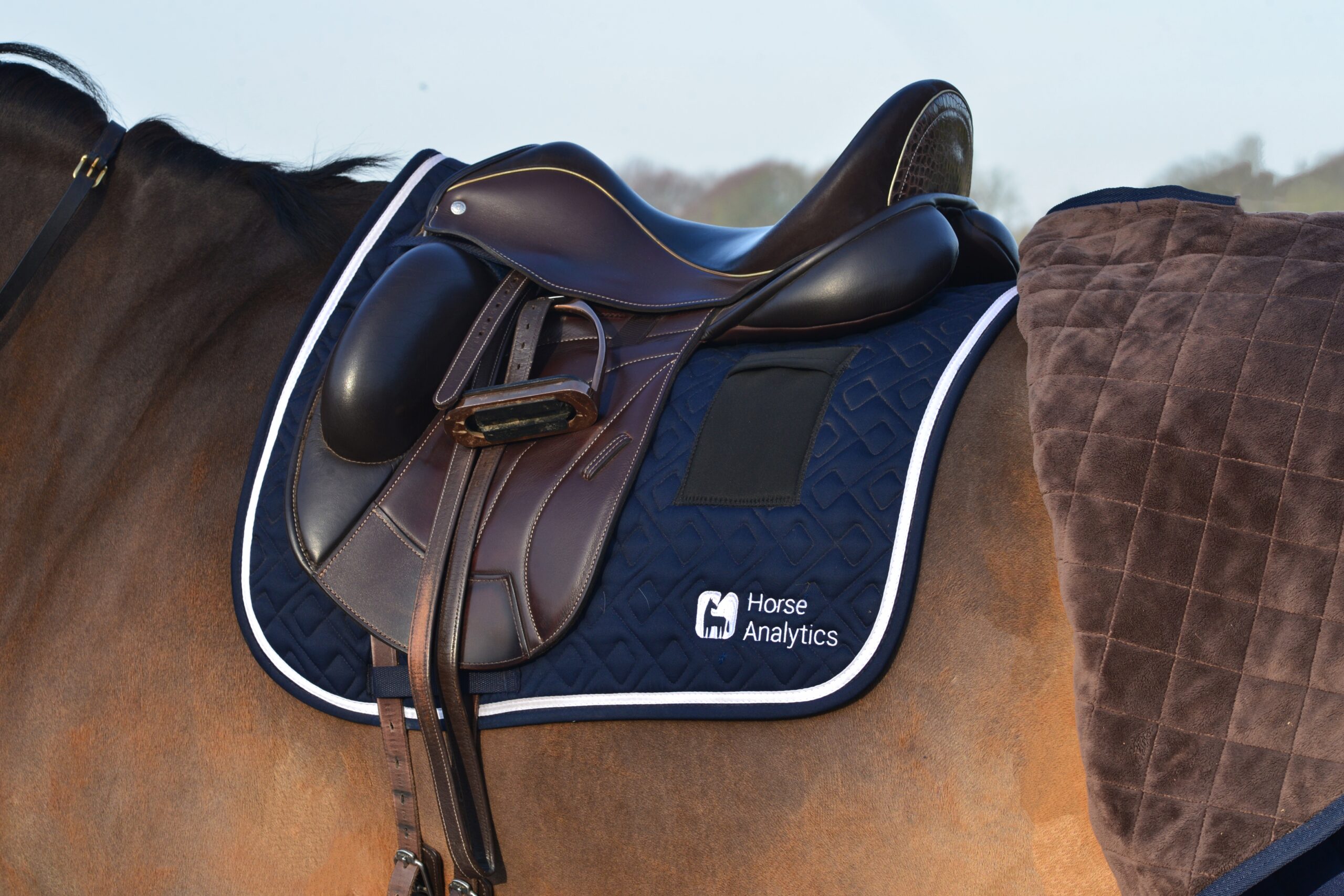 Horse Tack & Gear