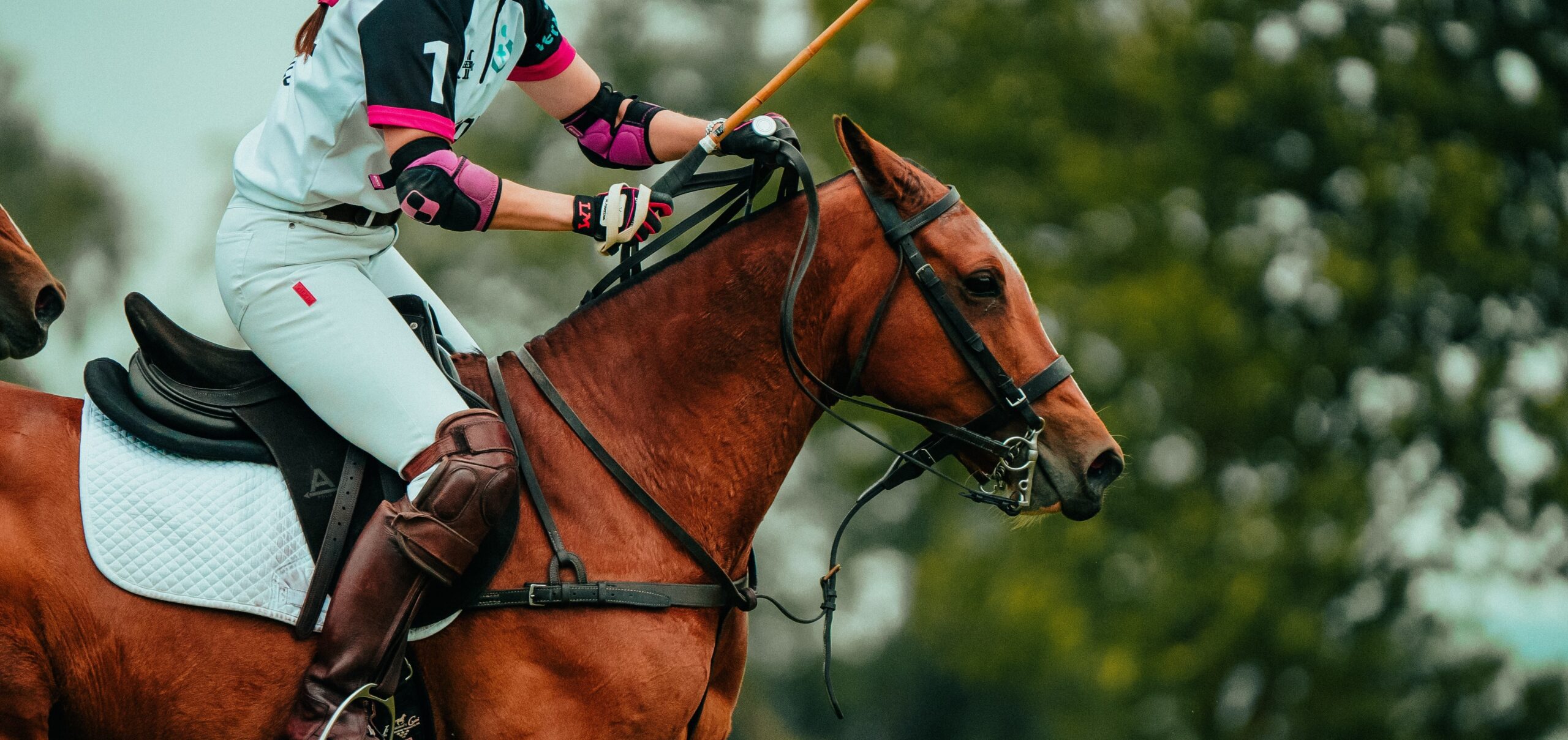 Reitsport Disziplinen