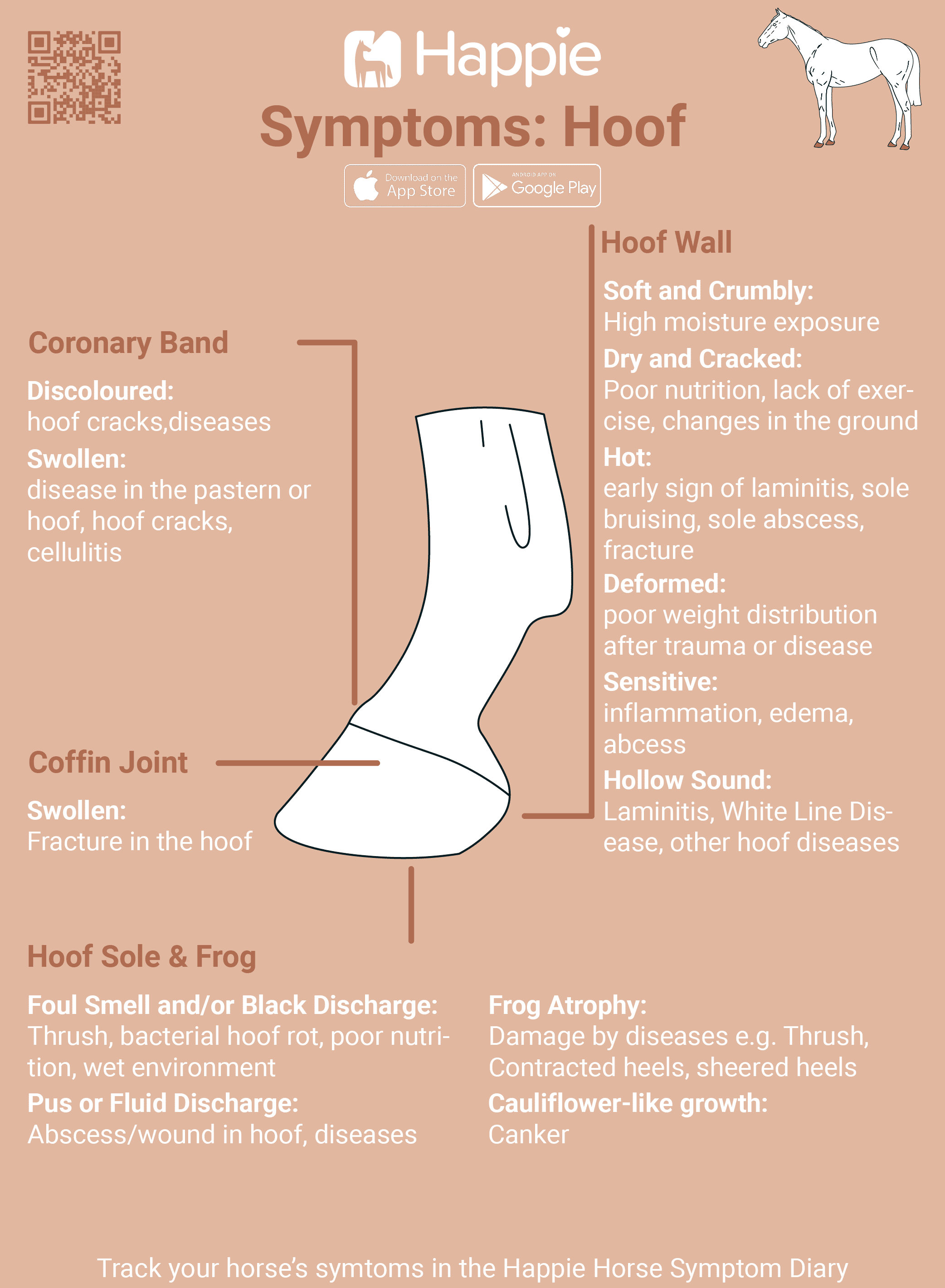 Free Downloadable Training Plans & Health Info