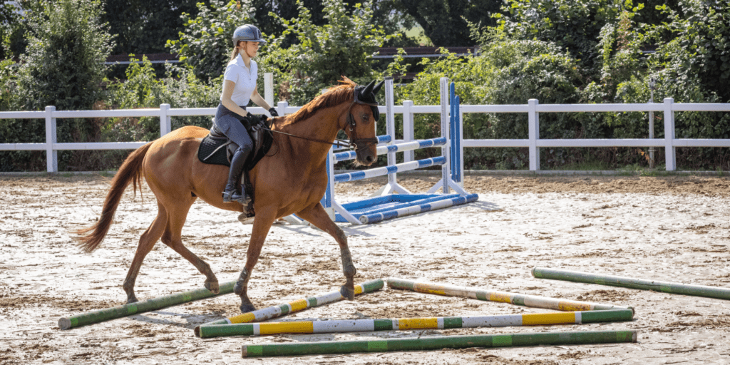 Tensegrales Pferdetraining erklärt