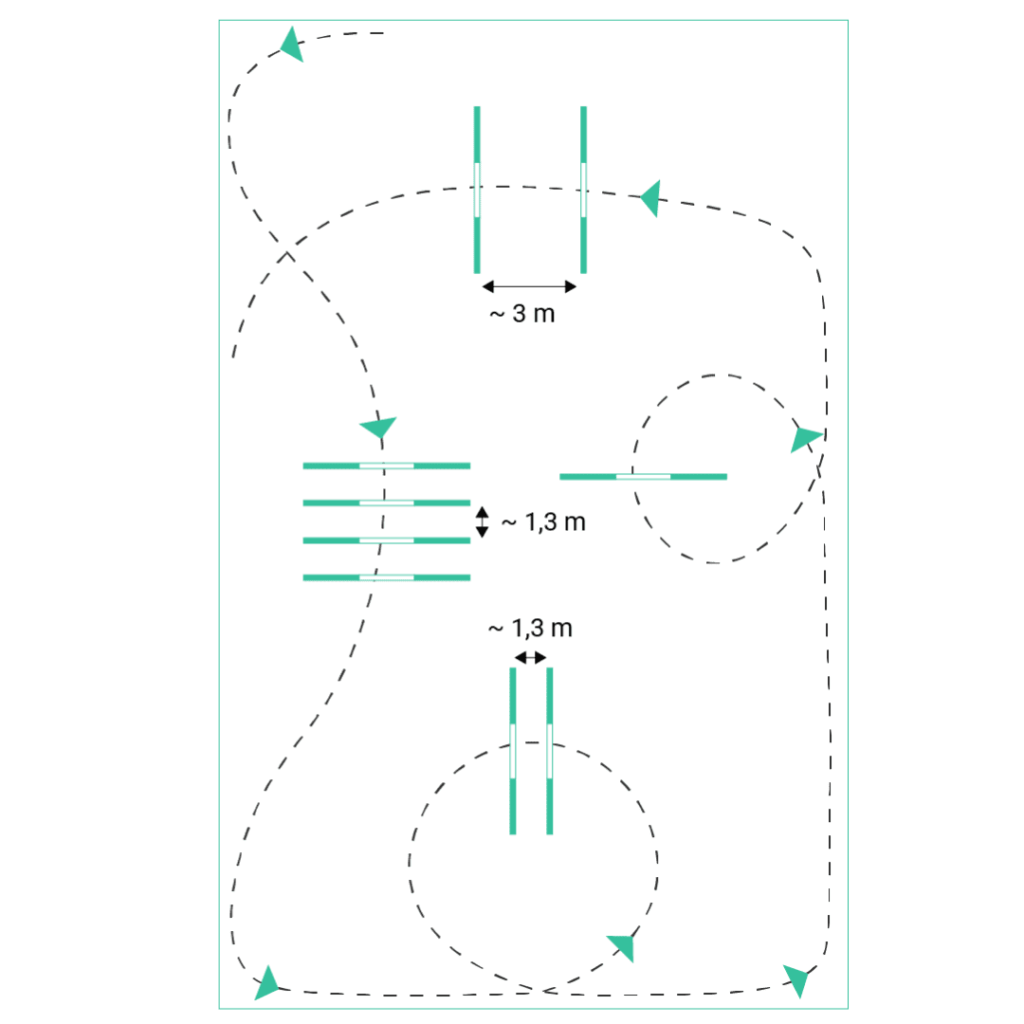Training - Pole Work for Horses