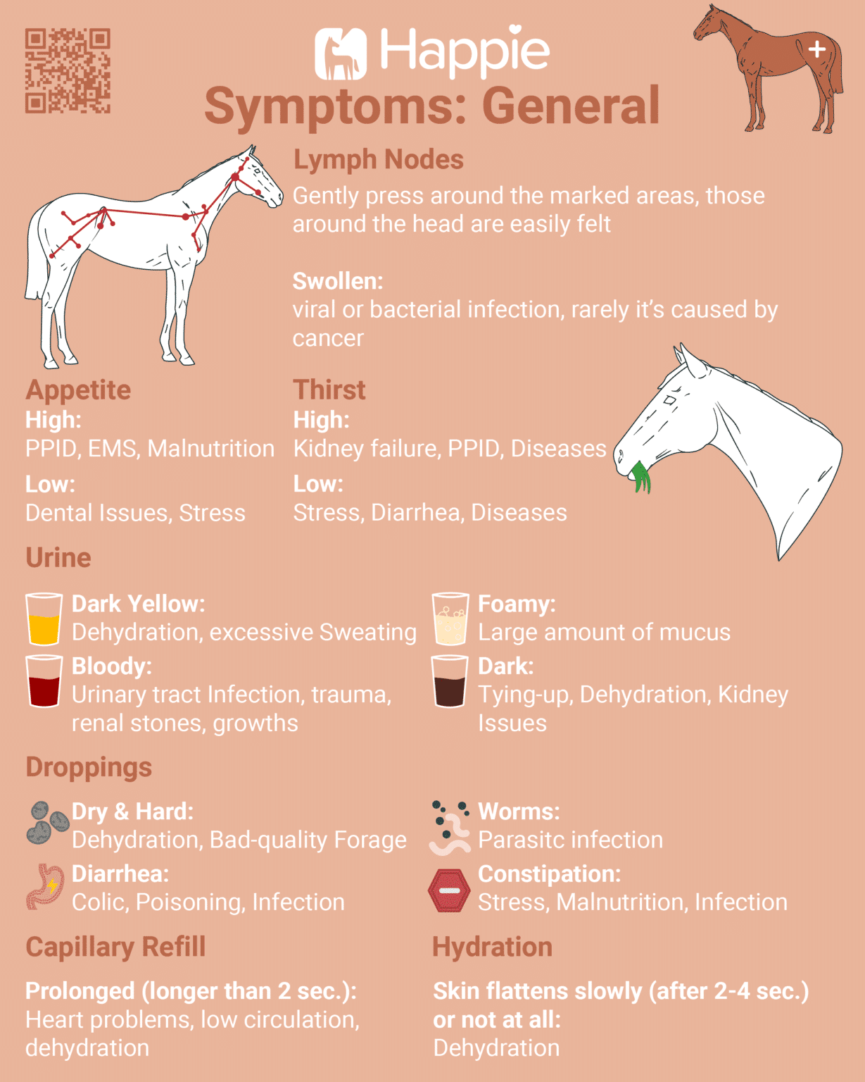 Symptoms on the Horse Body - What Diarrhoea, Urine, Lymph Nodes and the ...