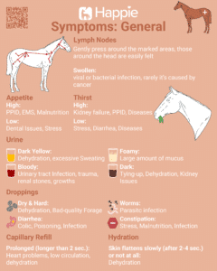 Symptoms on the Horse Body - What Diarrhoea, Urine, Lymph Nodes and the ...