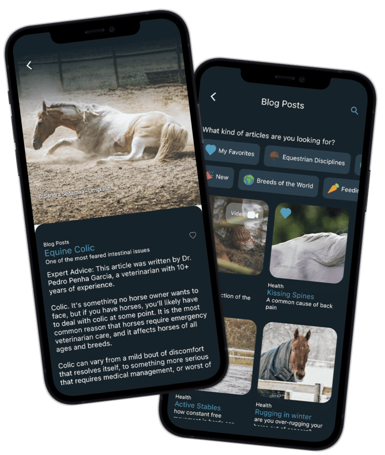 Horse diseases from A-Z