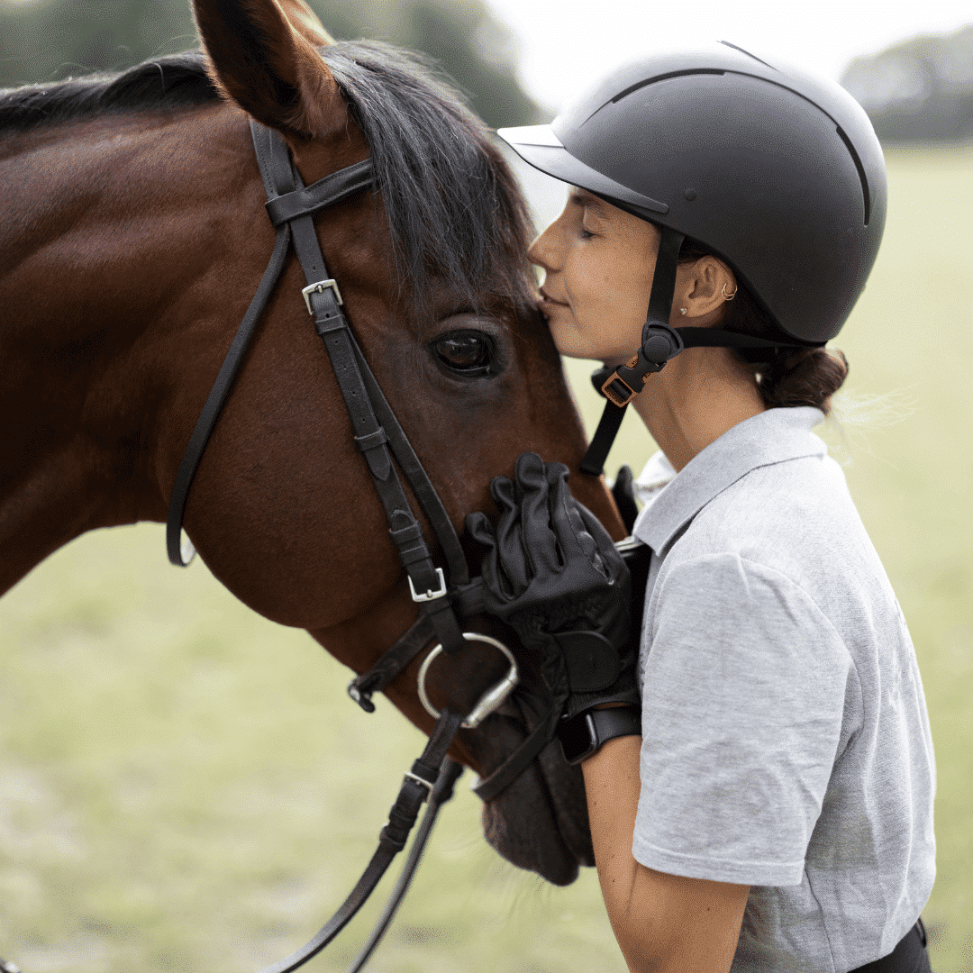 All Horse Disease Articles