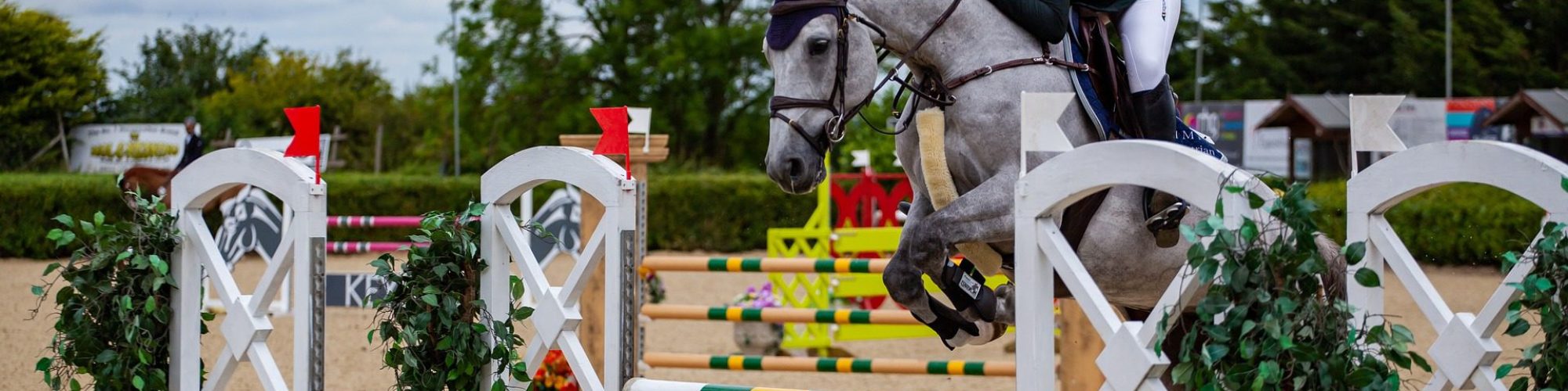 Springreitübungen und Parcours - Happie Animals